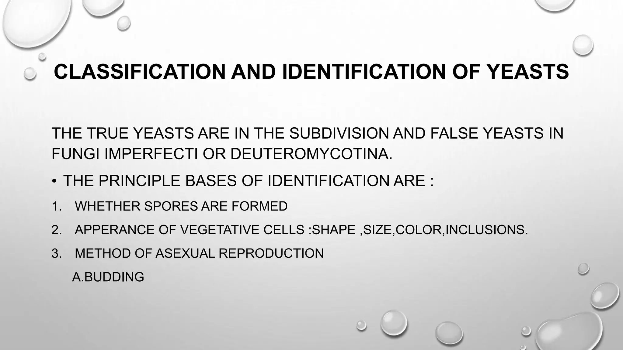 Yeast general characterstics | PPTX