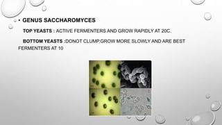 Yeast general characterstics | PPTX