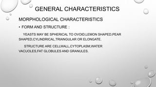 Yeast general characterstics | PPTX