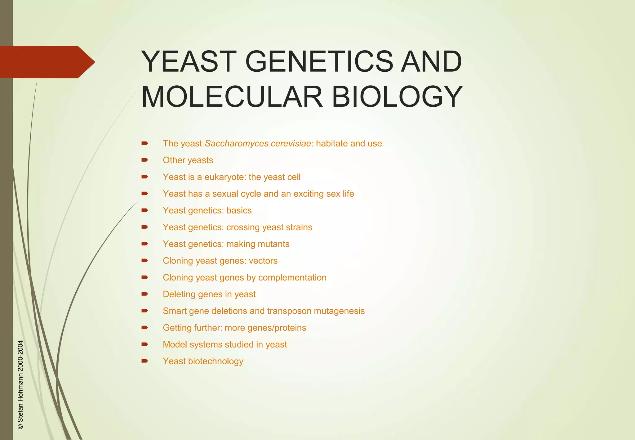 yeast genetics.ppt