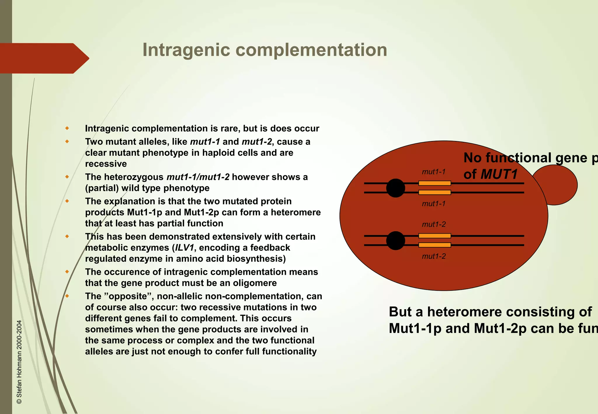 yeast genetics.ppt