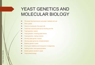 yeast genetics.ppt