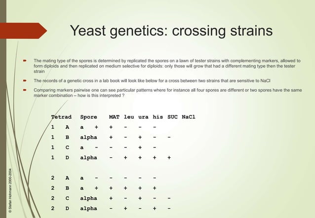 yeast genetics.ppt
