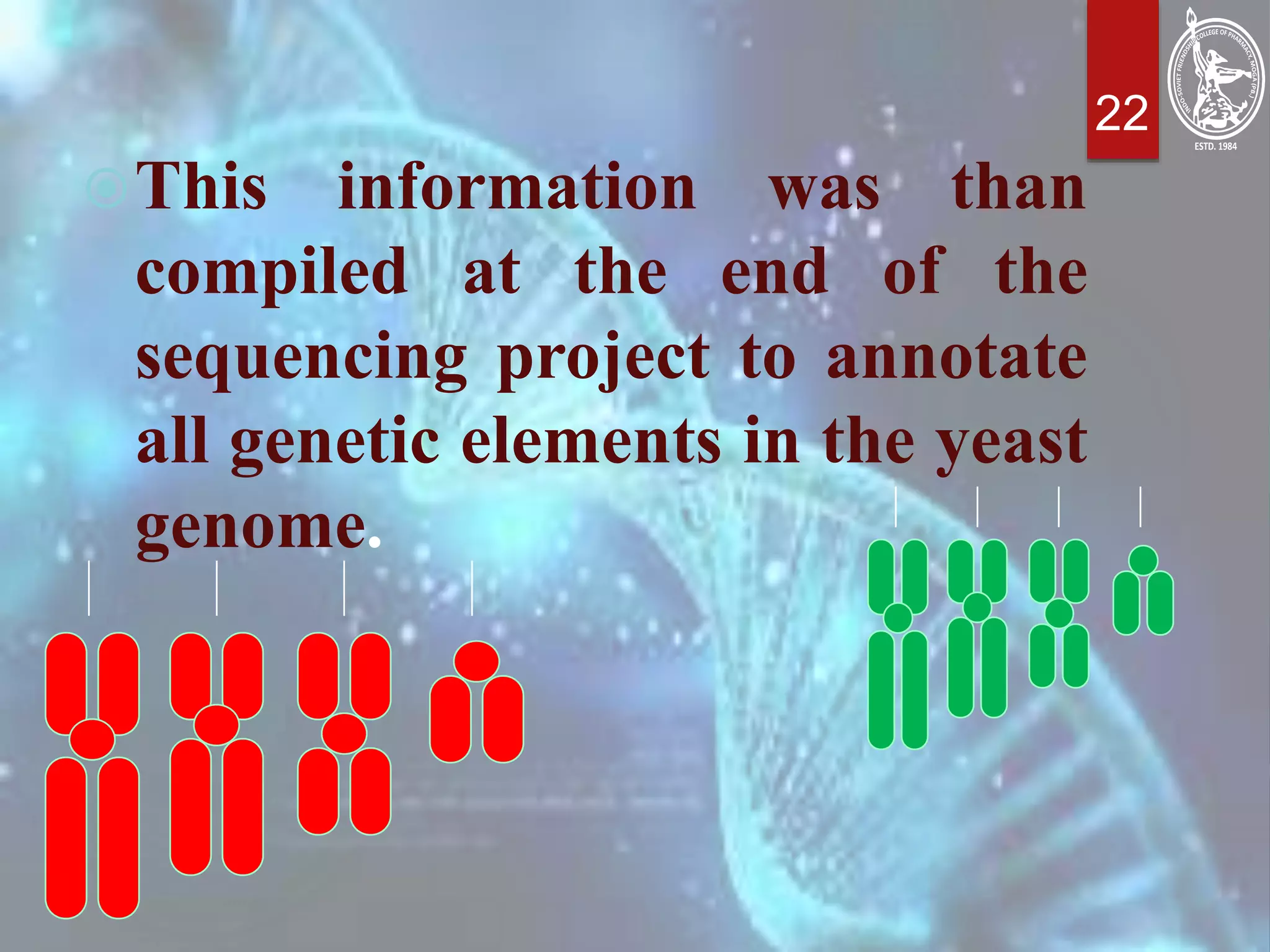 Yeast Genome | PPTX
