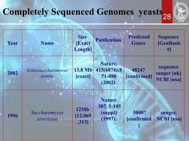 Yeast Genome | PPTX | Biological Sciences | Science