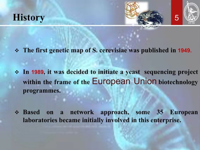 Yeast Genome | PPTX | Biological Sciences | Science