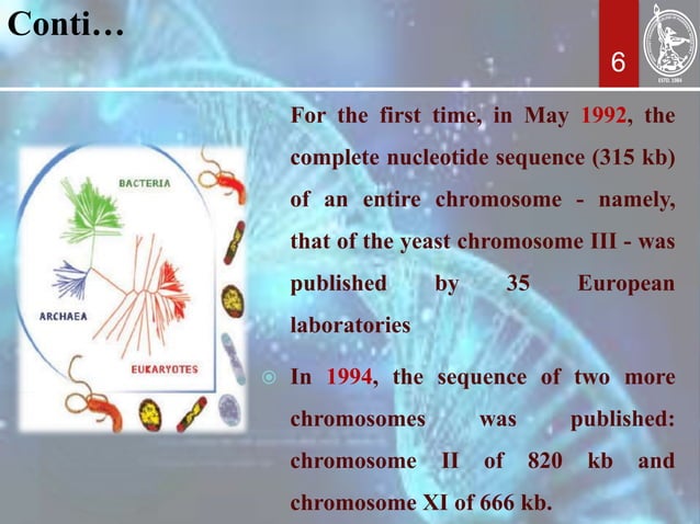 Yeast Genome | PPTX | Biological Sciences | Science