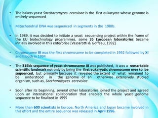 Yeast genome project | PPTX