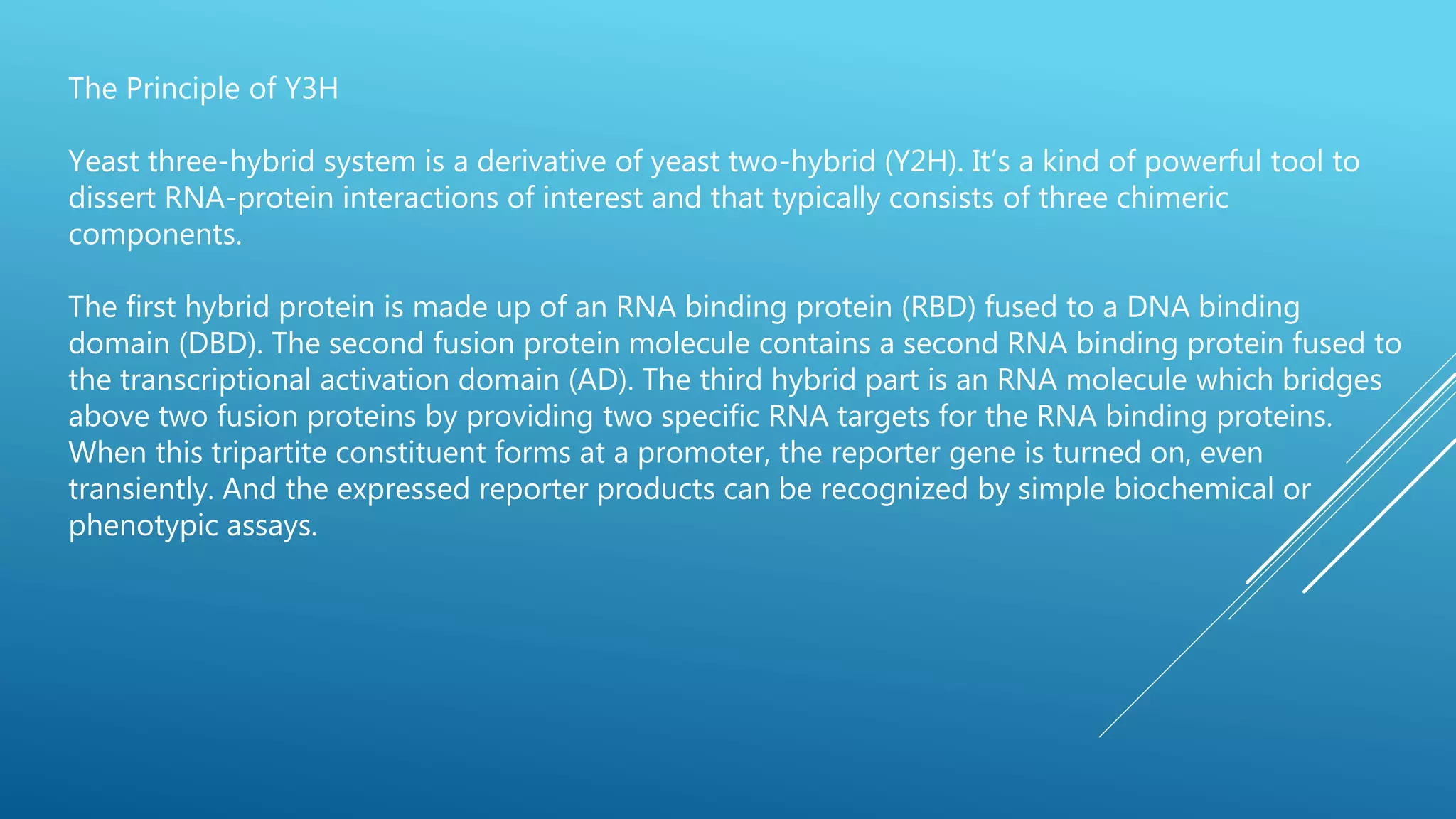 Yeast hybrid system | PPTX | Web Development | Internet
