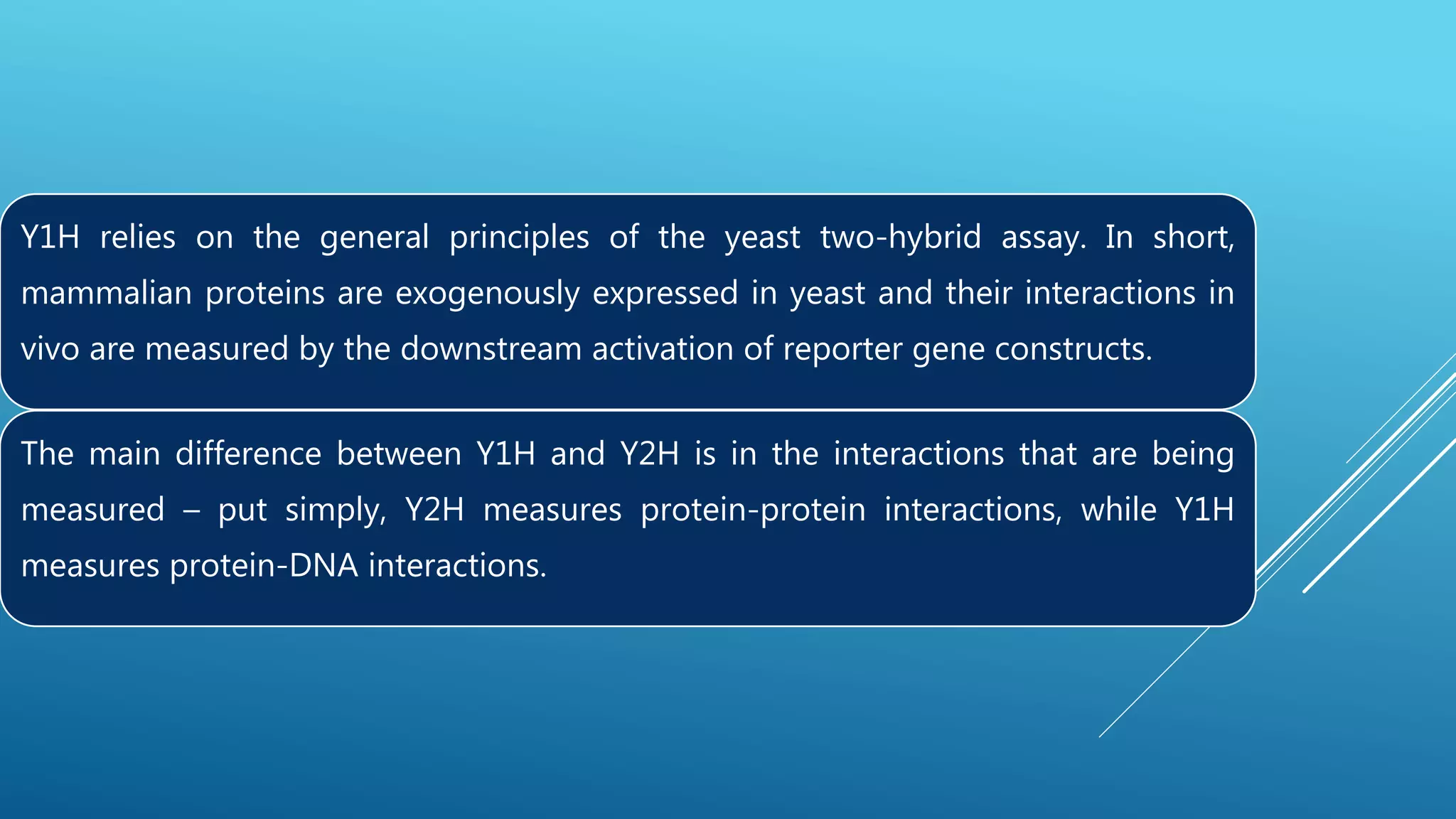 Yeast hybrid system | PPTX