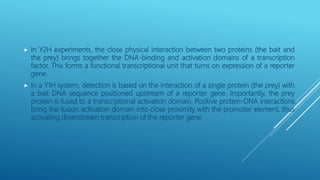 Yeast hybrid system | PPTX