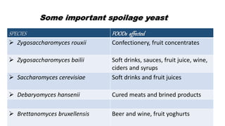 Yeast in food spoilage