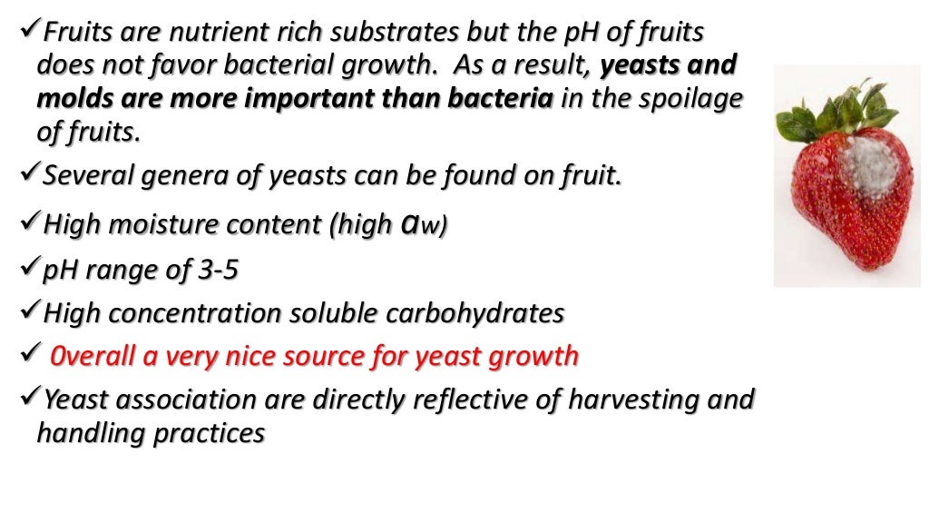 Yeast in food spoilage