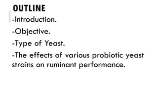 Yeast in ruminants | PDF