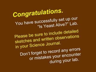 Yeast instructions | PPT