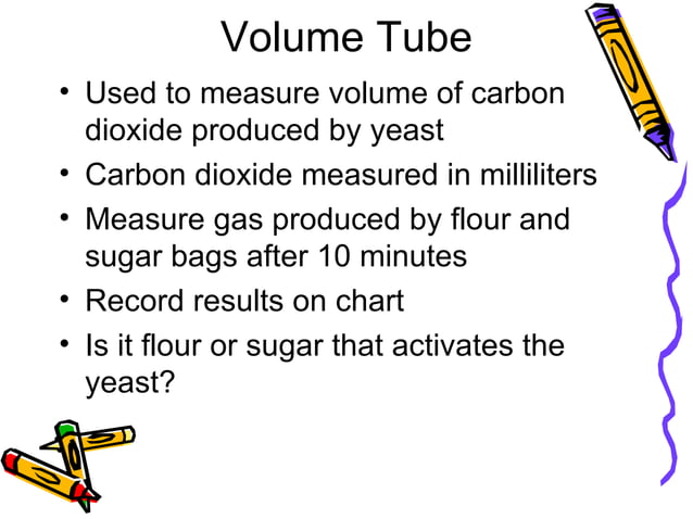 Yeast investigation - Part 2 | PPT