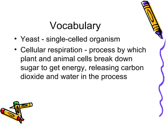 Yeast investigation - Part 2 | PPT