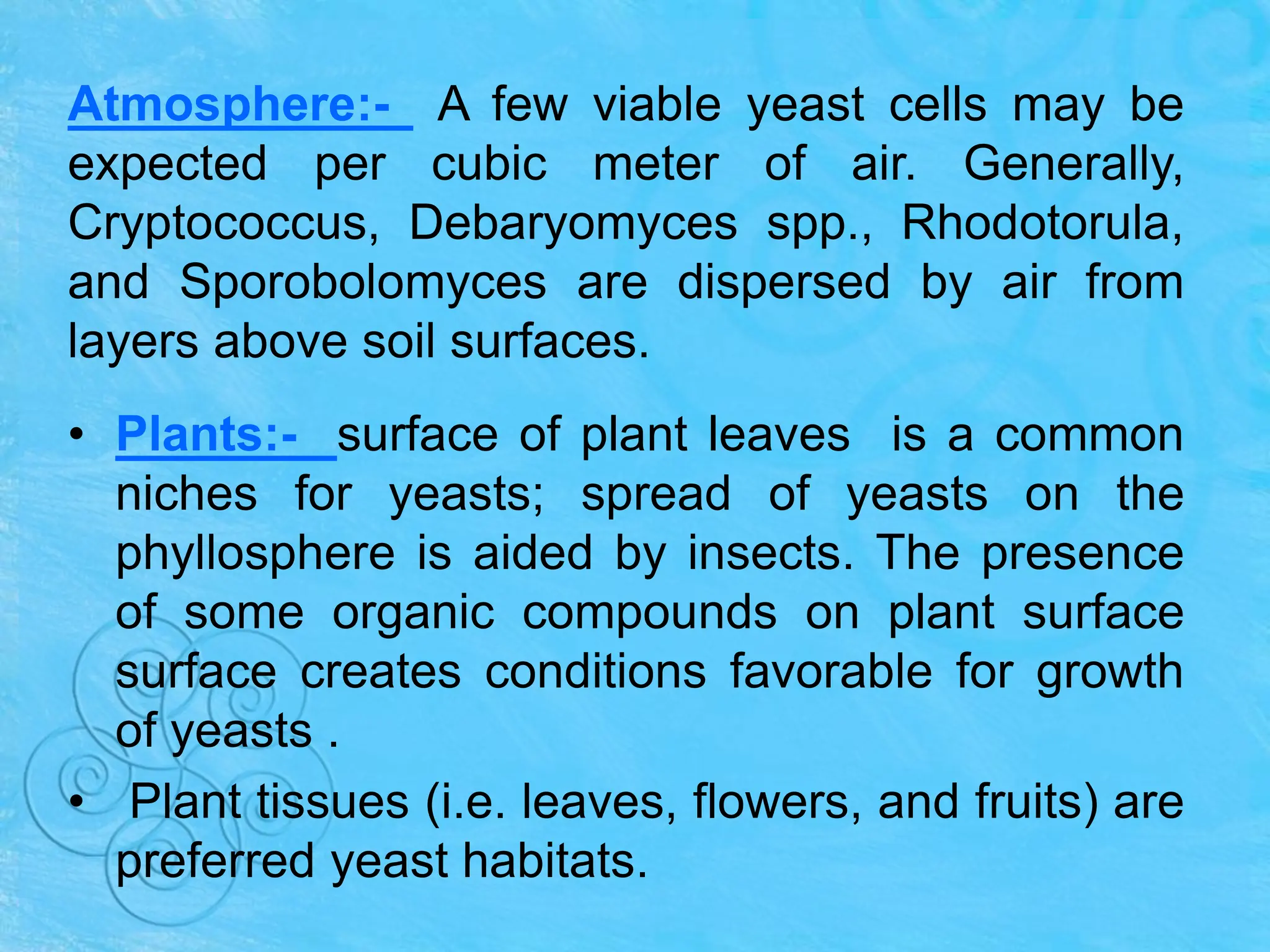 yeast lect 1 .ppt