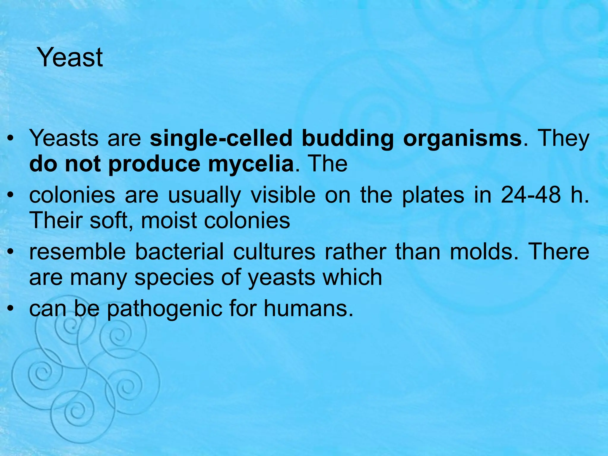 yeast lect 1 .ppt
