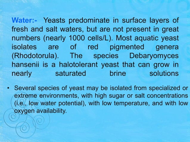 yeast lect 1 .ppt