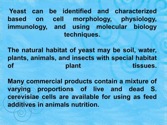 yeast lect 1 .ppt