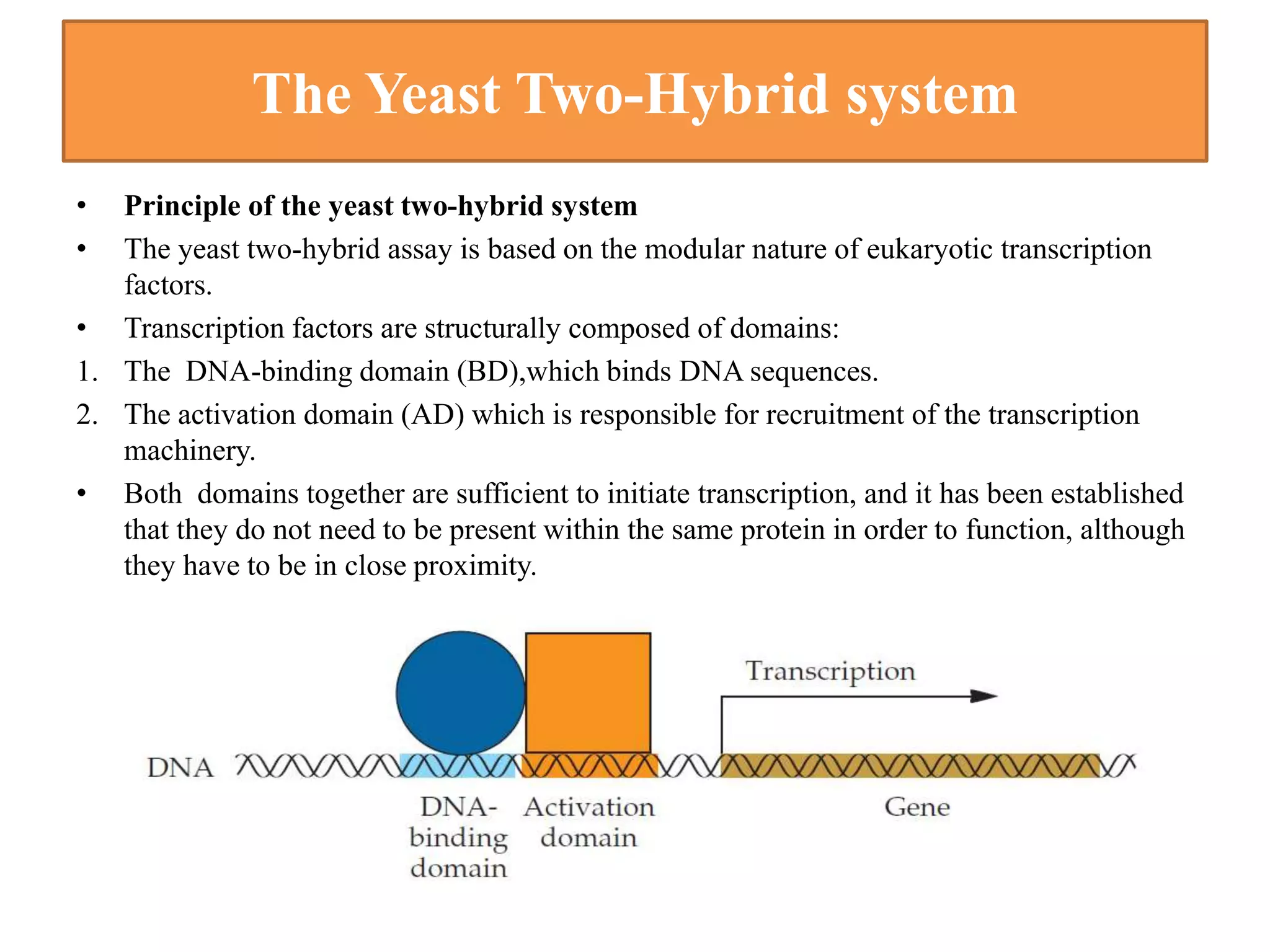Yeast n hybrid | PPTX