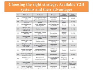 Yeast n hybrid | PPTX