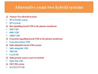 Yeast n hybrid | PPTX