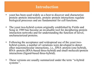 Yeast n hybrid | PPTX