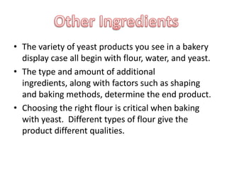 Yeast notes new | PPTX