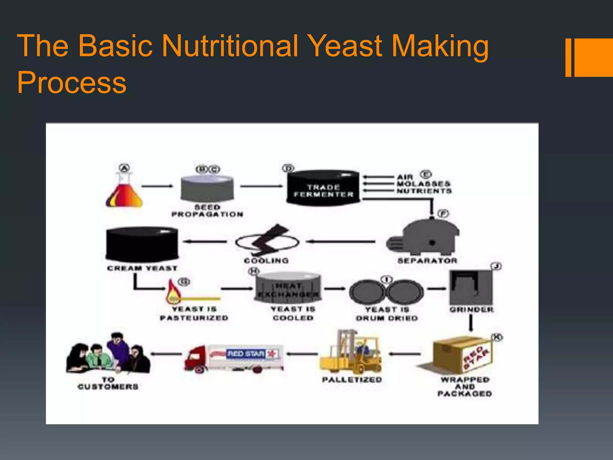 Yeast produce | PPT