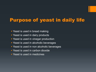 Yeast produce | PPT