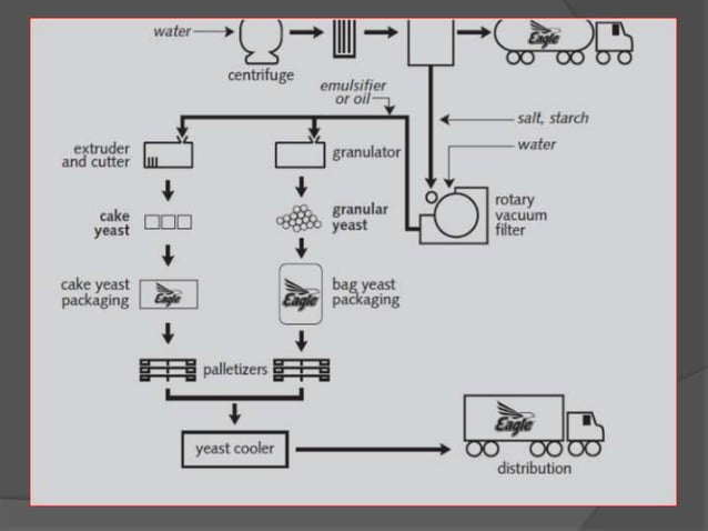 Yeast production | PPTX