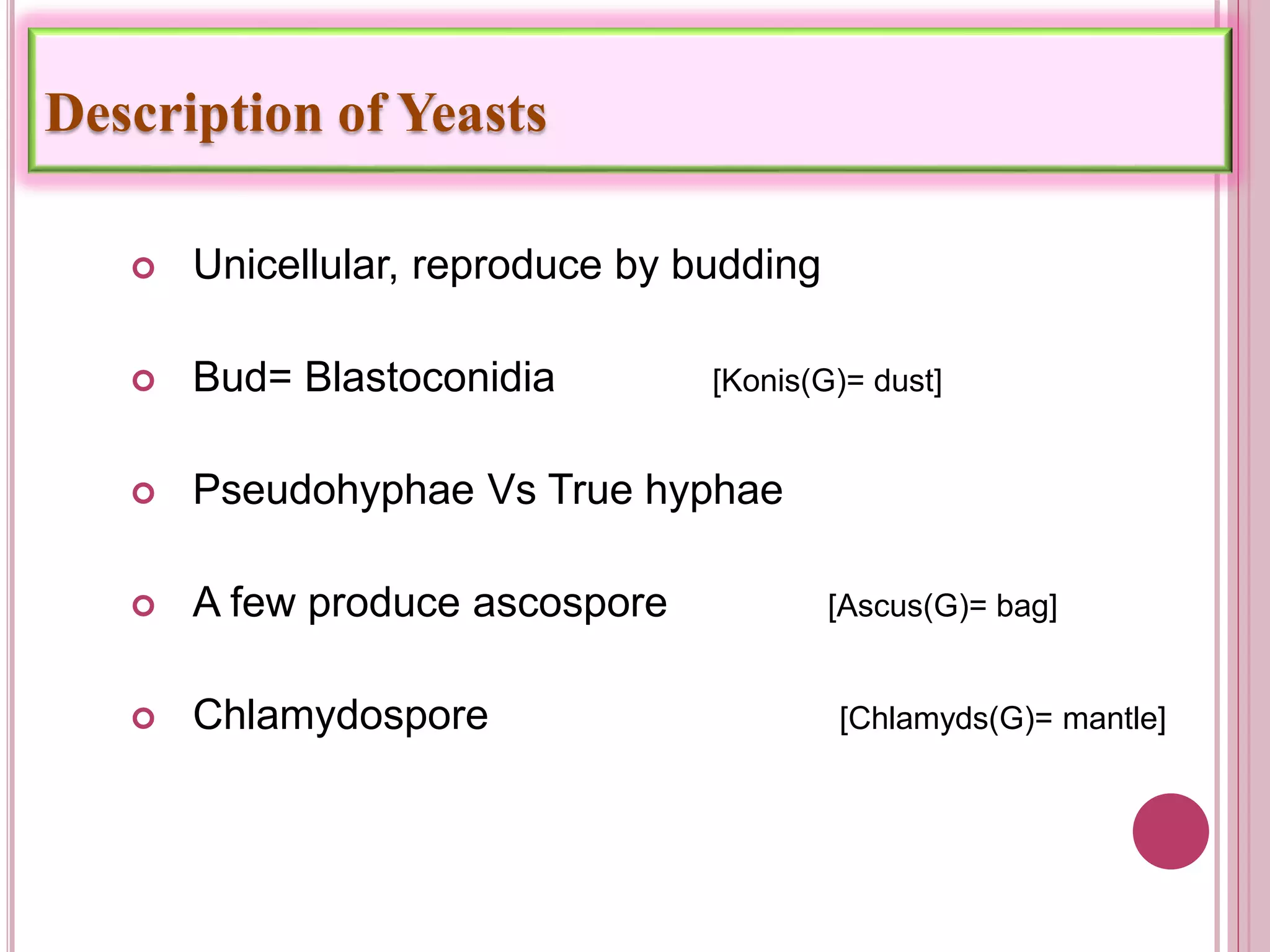Identification of Yeasts & Candida species | PPTX