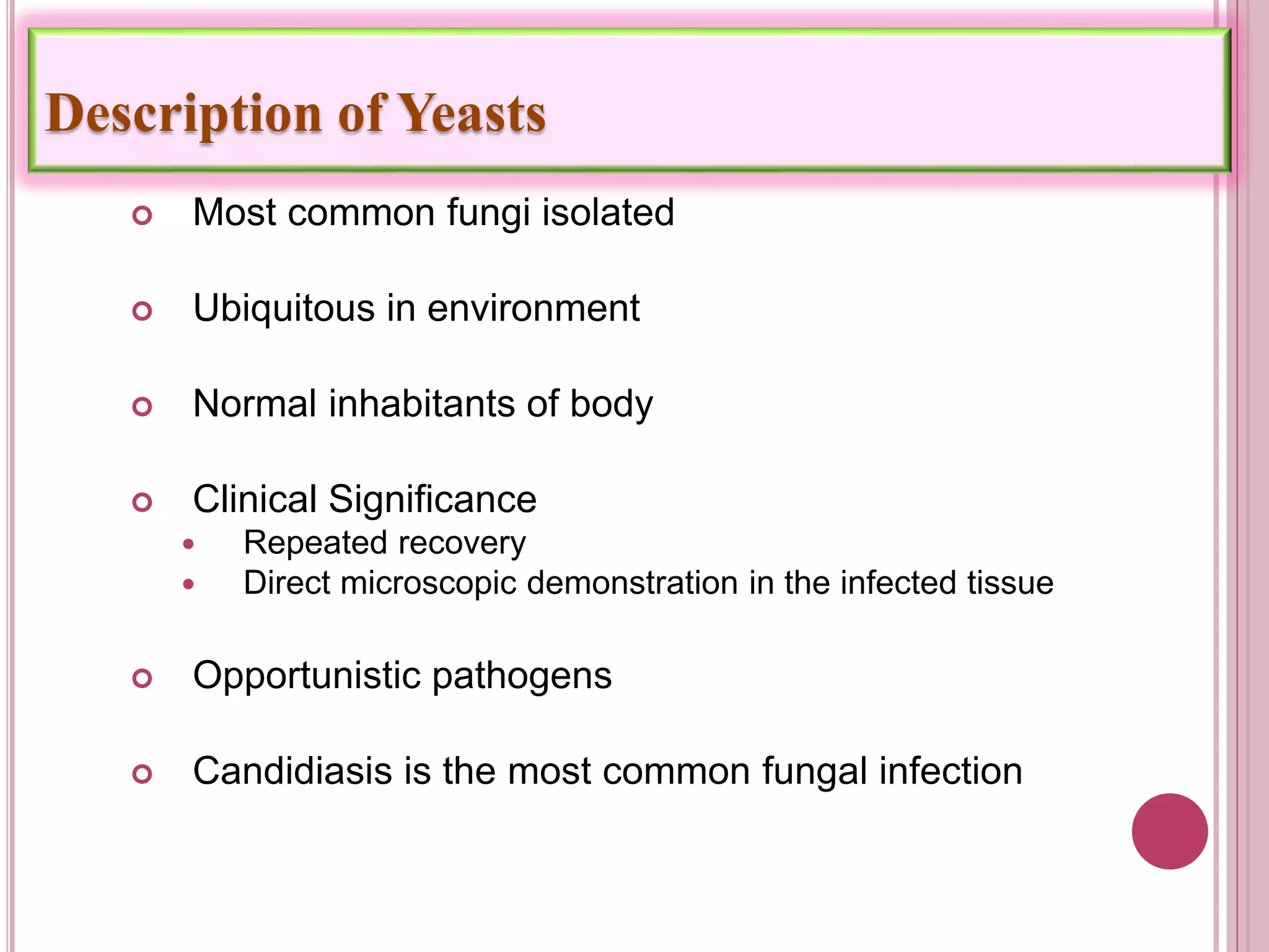 Identification of Yeasts & Candida species | PPTX