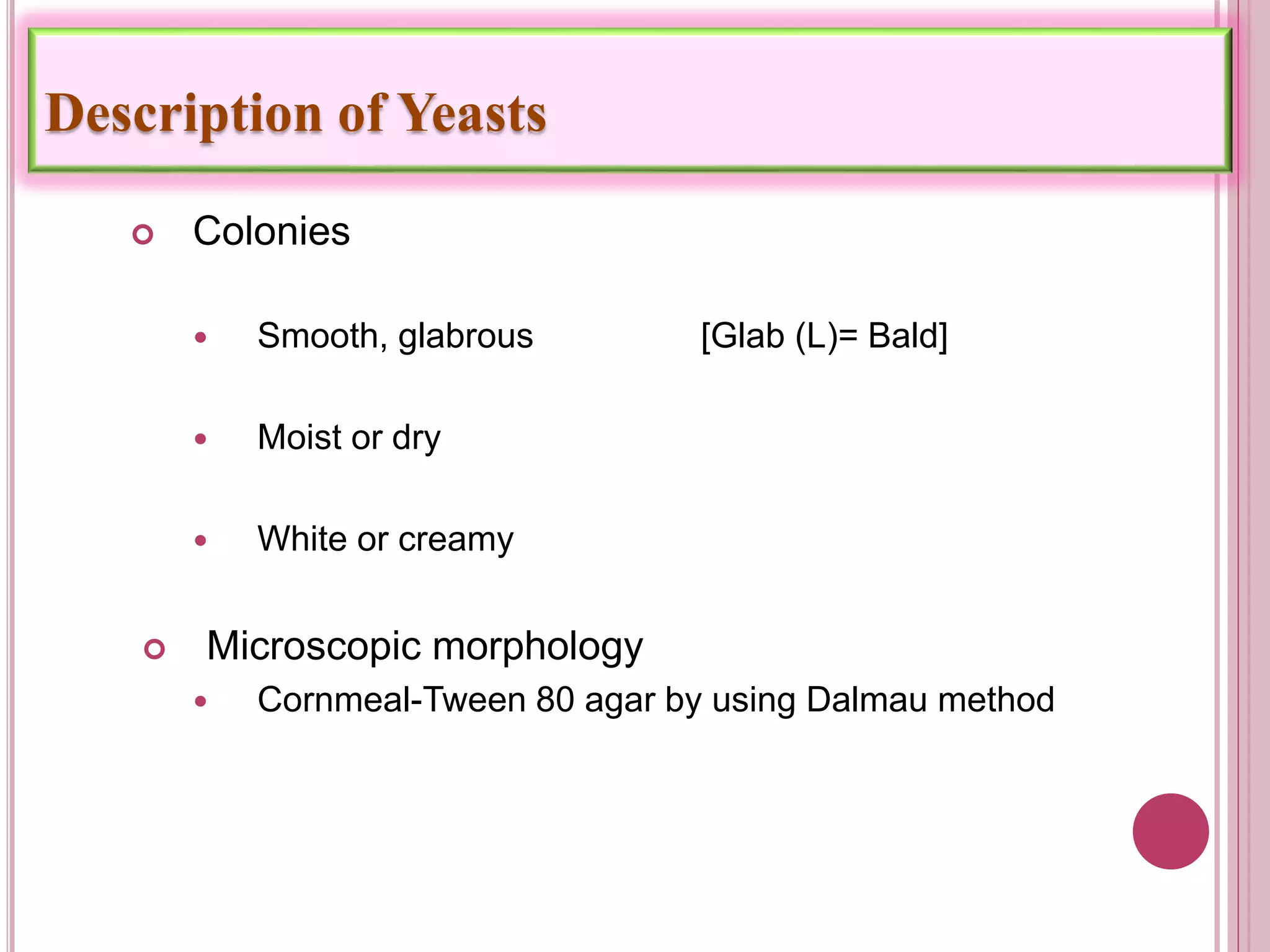 Identification of Yeasts & Candida species | PPTX