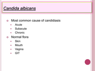 Identification of Yeasts & Candida species | PPTX