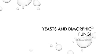 YEASTS AND DIMORPHIC FUNGI powerpoint ppt | PPTX
