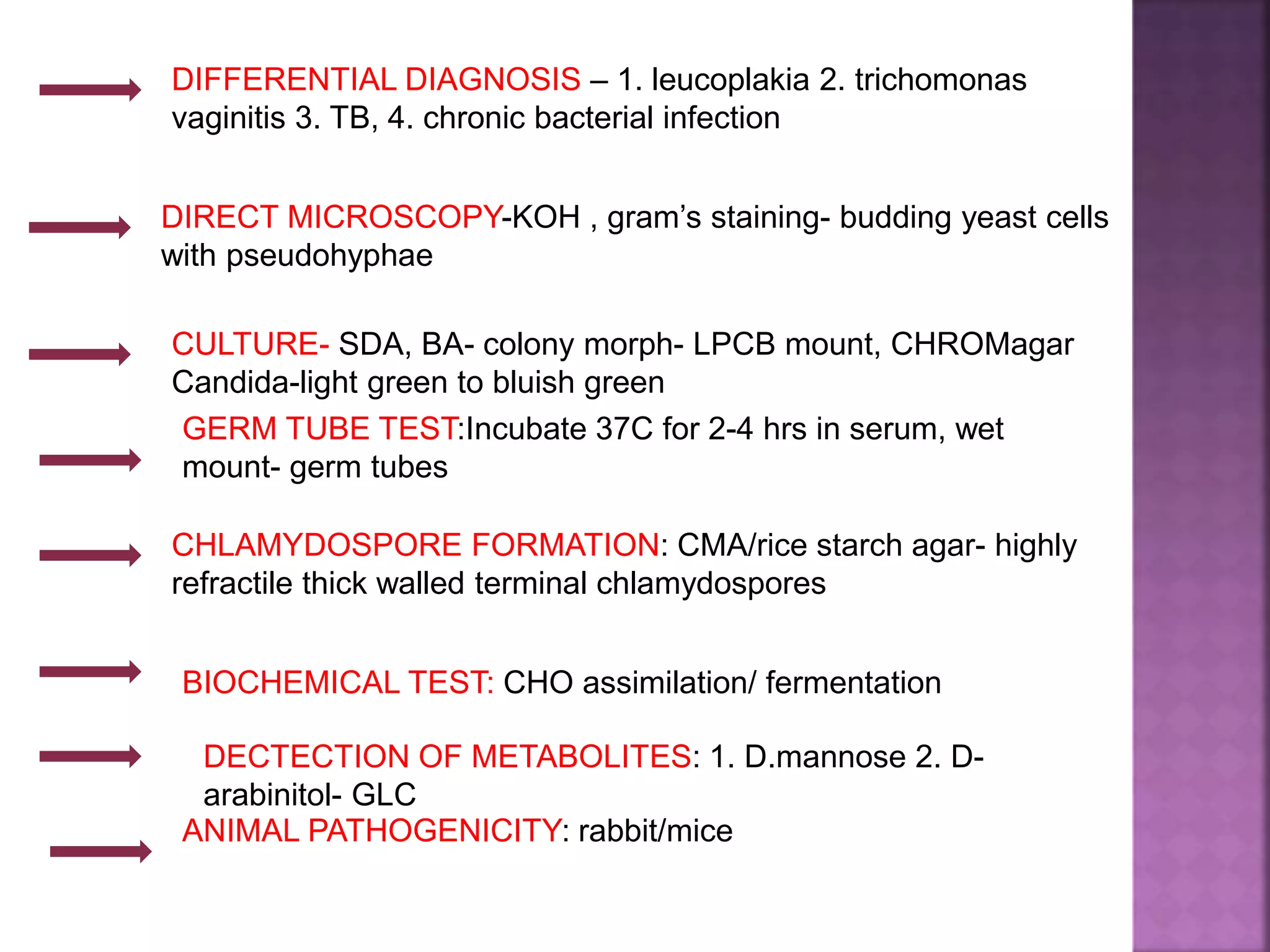 Yeasts of medical importance - Candida and Cryptococcus | PPT