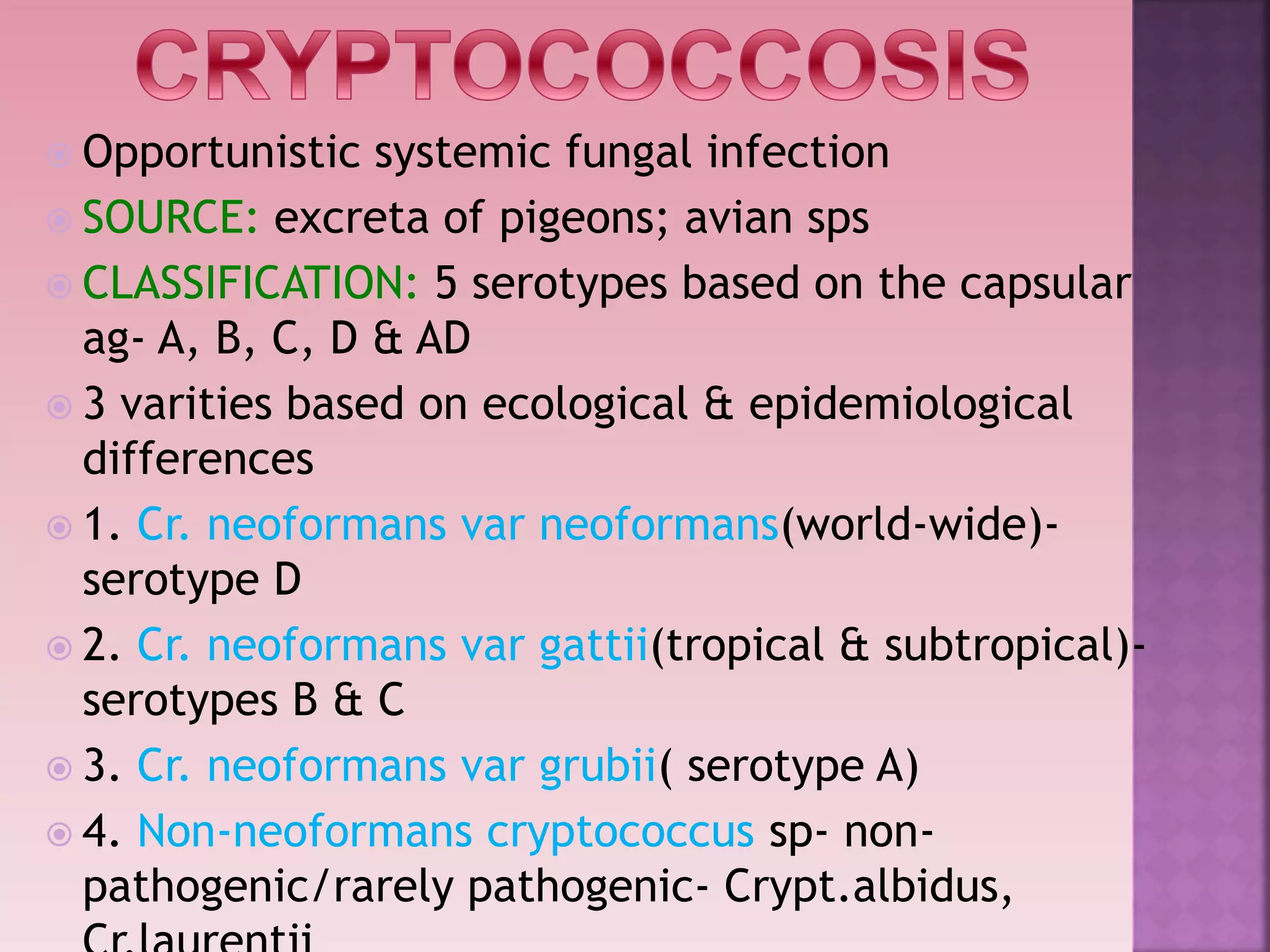Yeasts Of Medical Importance Candida And Cryptococcus Ppt