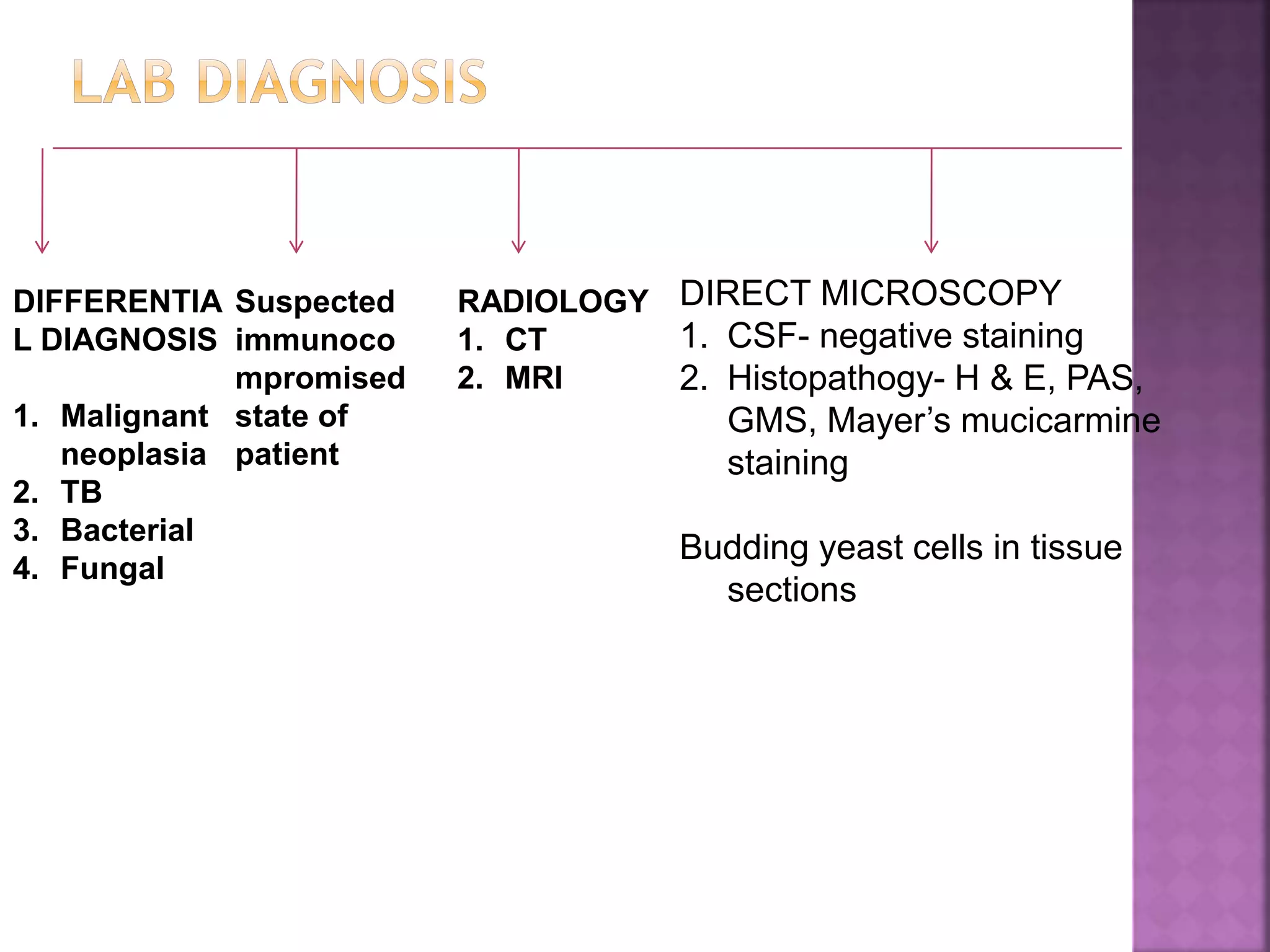 Yeasts of medical importance - Candida and Cryptococcus | PPT