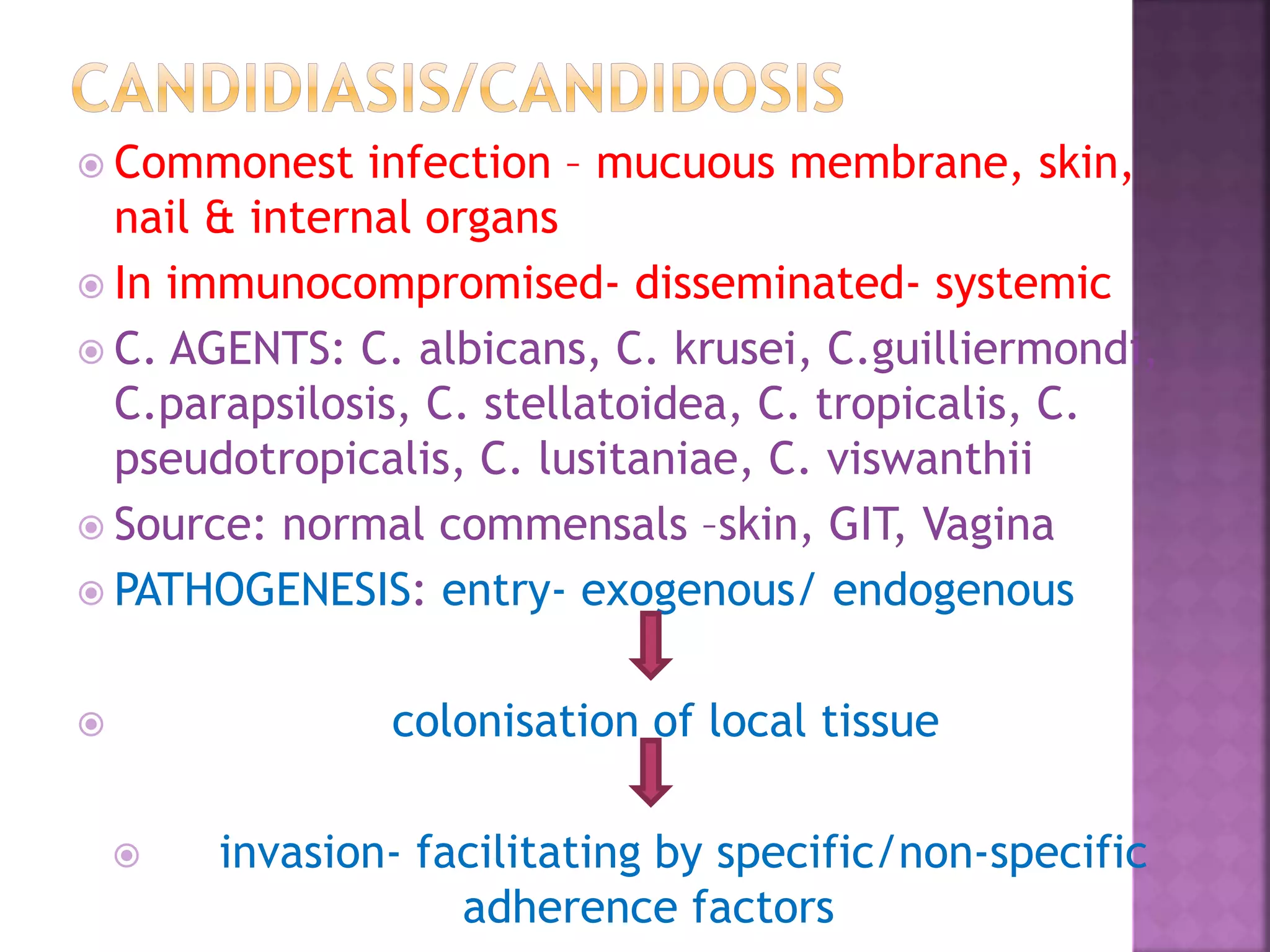 Yeasts of medical importance - Candida and Cryptococcus | PPT