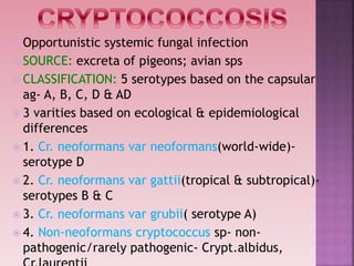 Yeasts of medical importance - Candida and Cryptococcus | PPT