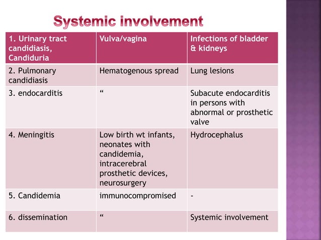 Yeasts of medical importance - Candida and Cryptococcus | PPT