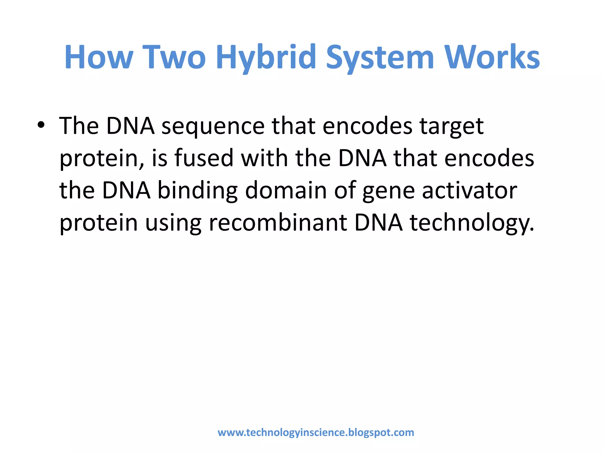 Yeast two hybrid system for Protein Protein Interaction Studies | PPTX