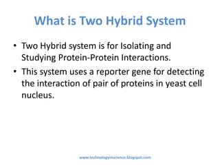 Yeast two hybrid system for Protein Protein Interaction Studies | PPT