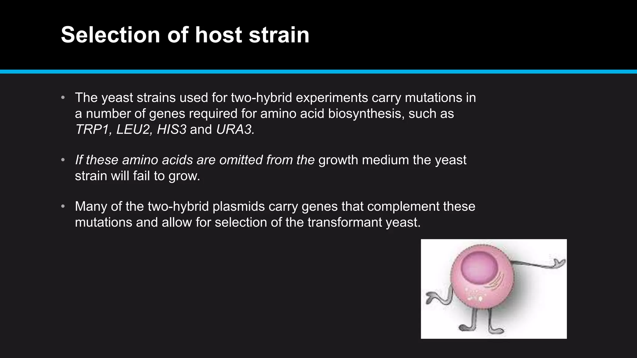 Yeast two hybrid method | PPSX