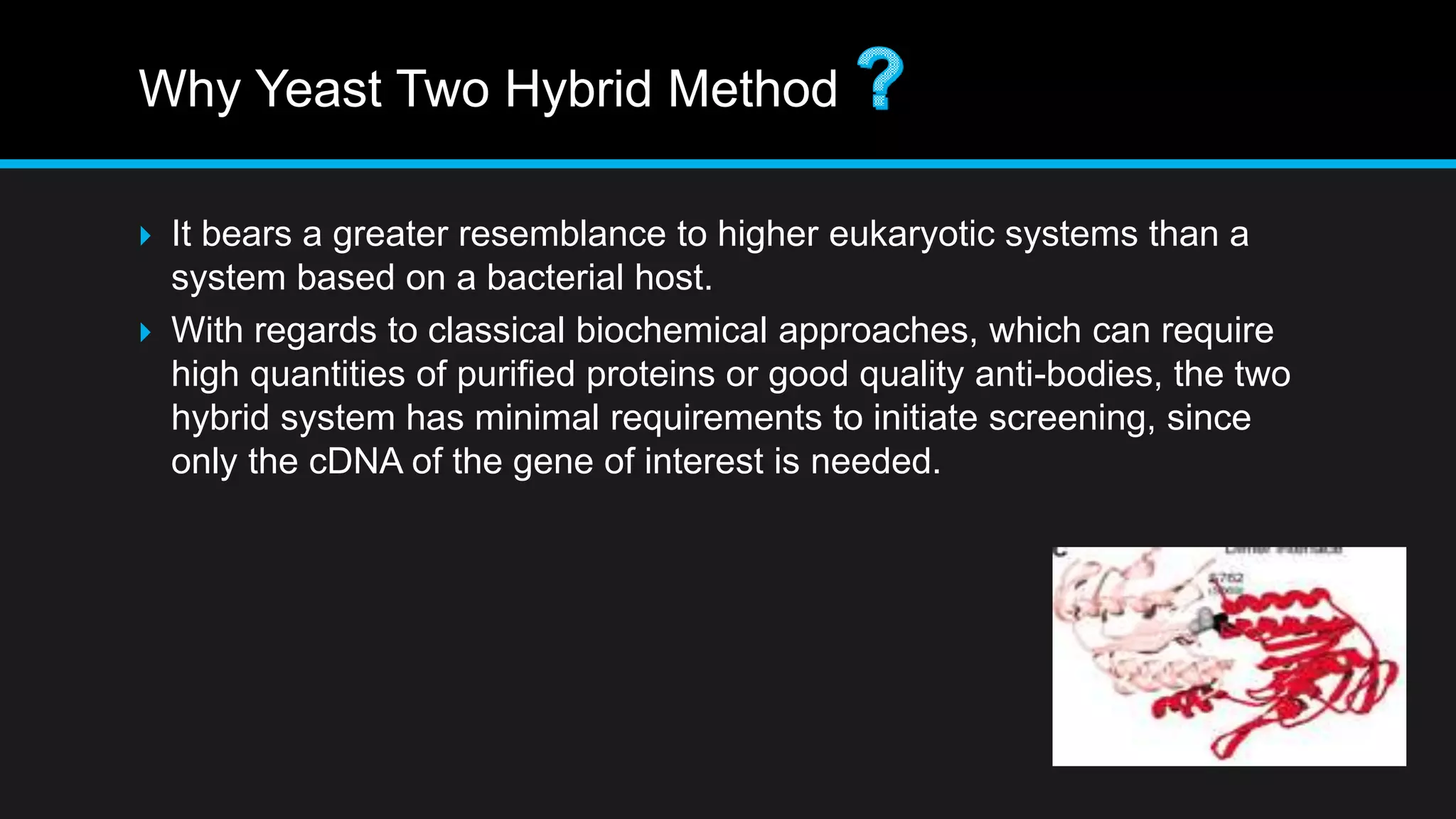 Yeast two hybrid method | PPSX