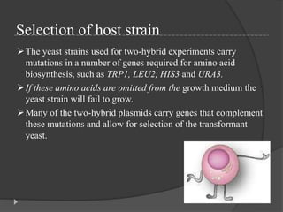 Yeast two hybrid | PPTX