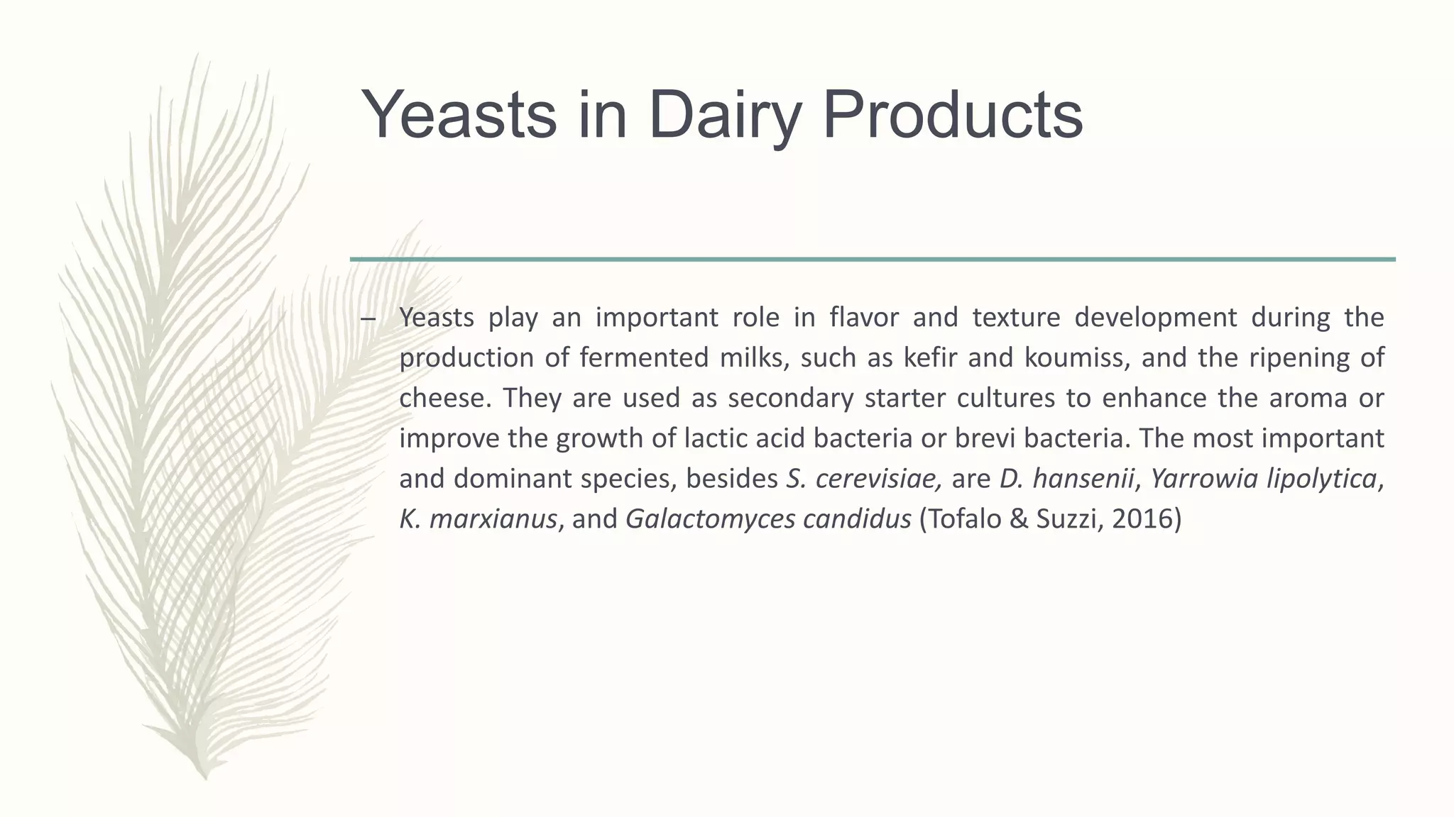 Yeast in food industry | PPTX